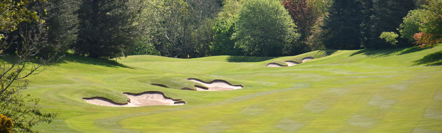 Amateur Championship